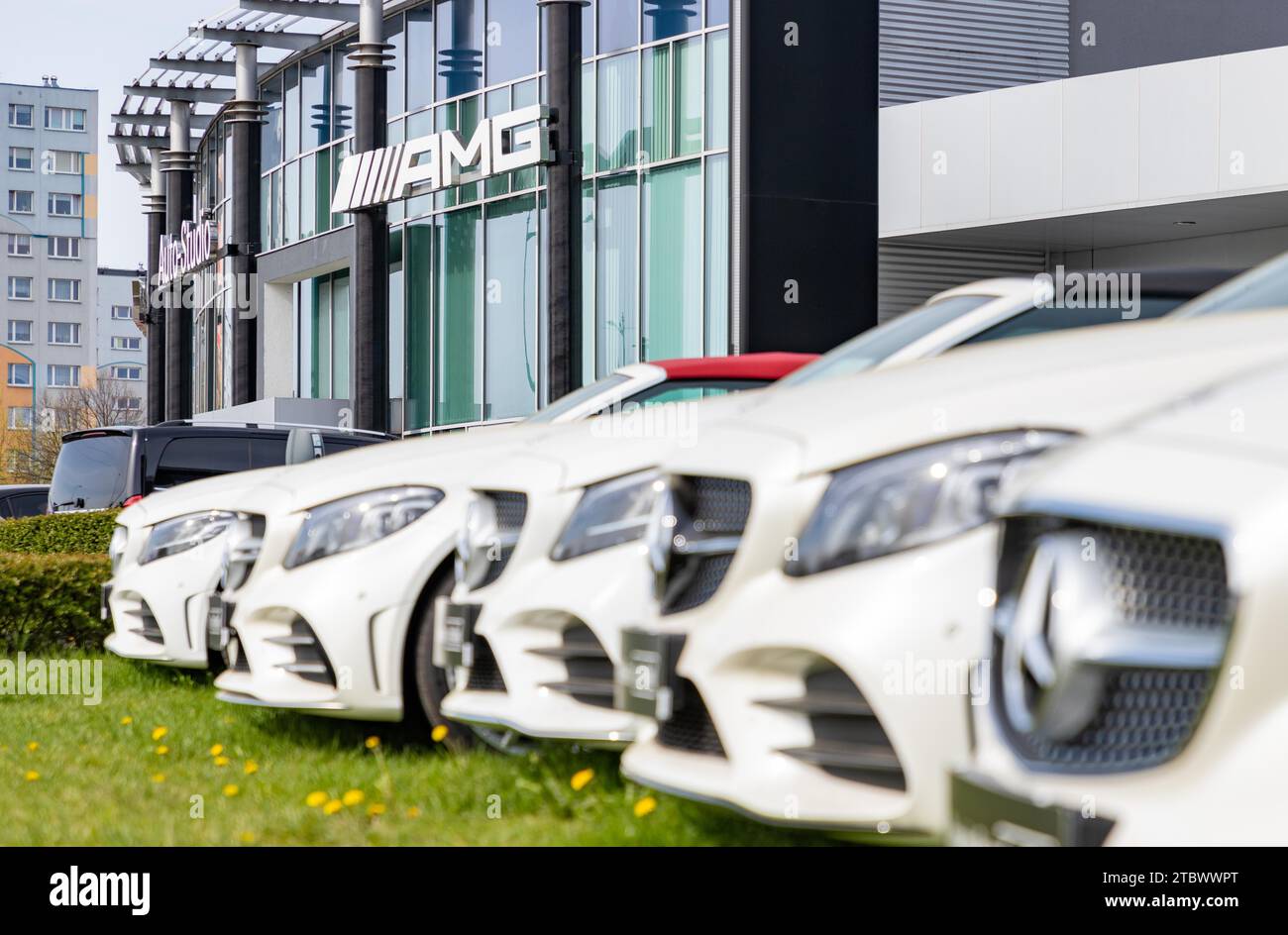 A picture of a row of white vehicles at a Mercedes Benz car dealership ...