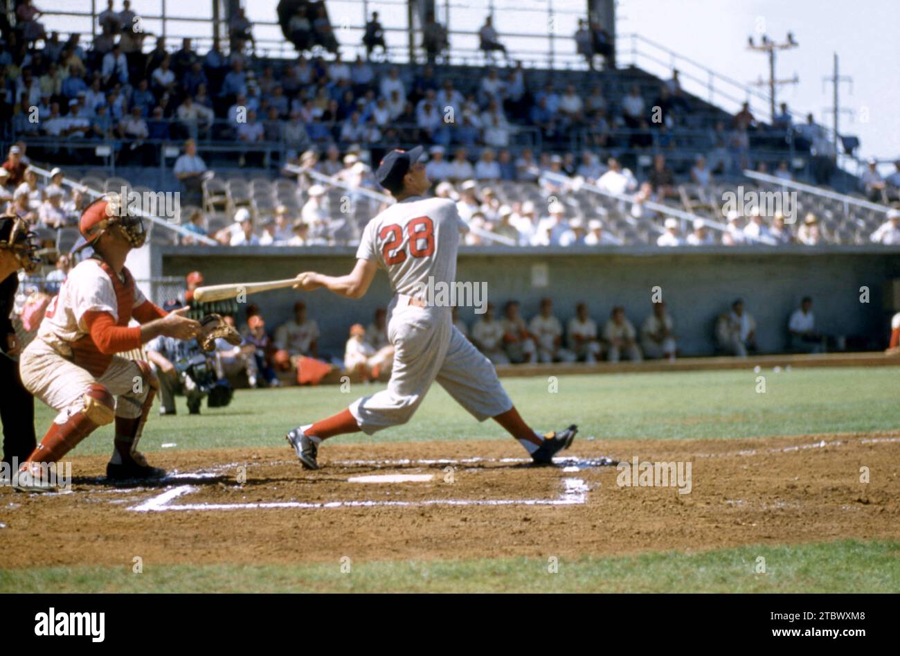 Redlegs hi-res stock photography and images - Alamy