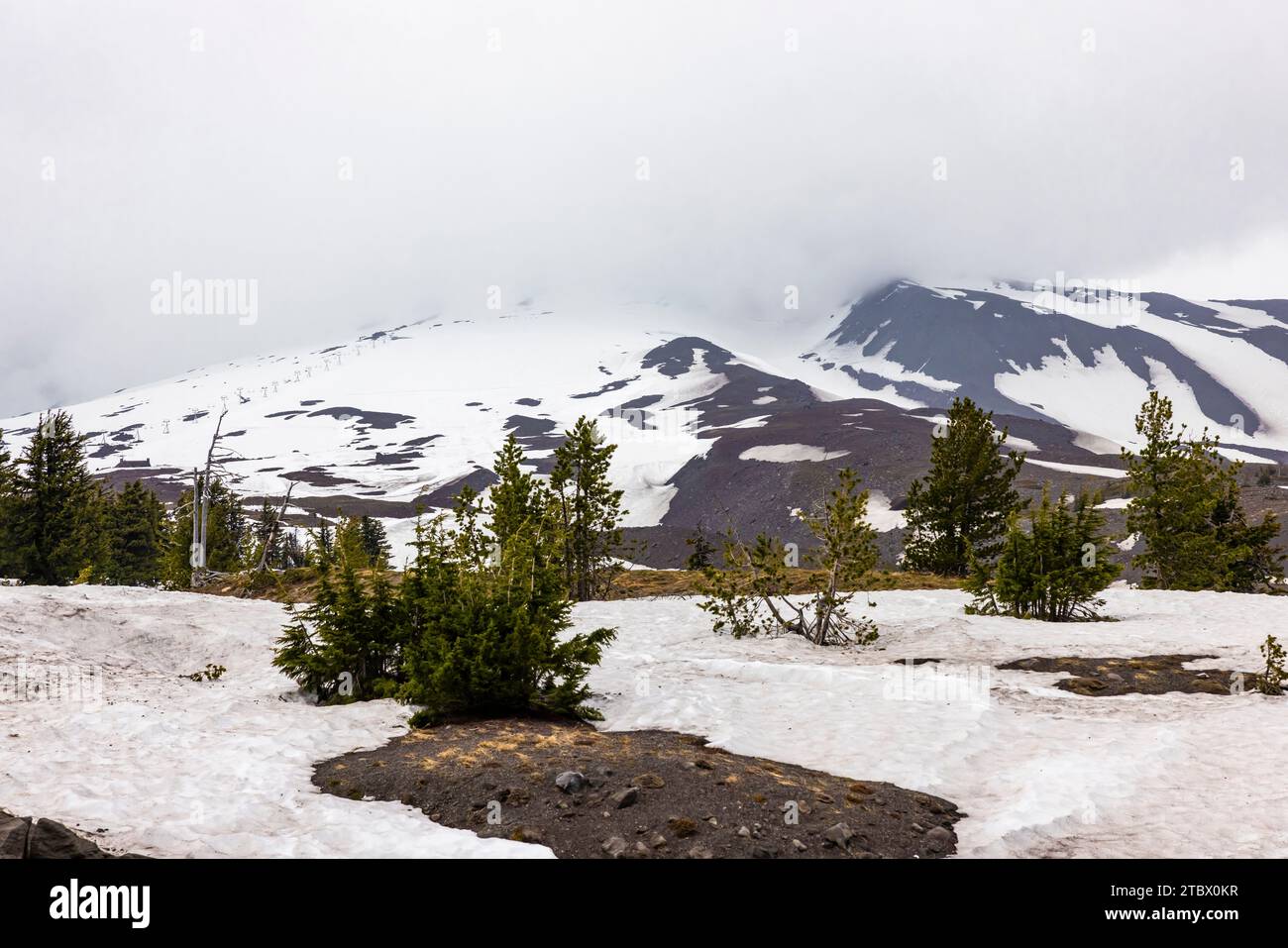 Snow at Timberline Lodge on Mt. Hood, Mt. Hood National Forest, Oregon ...