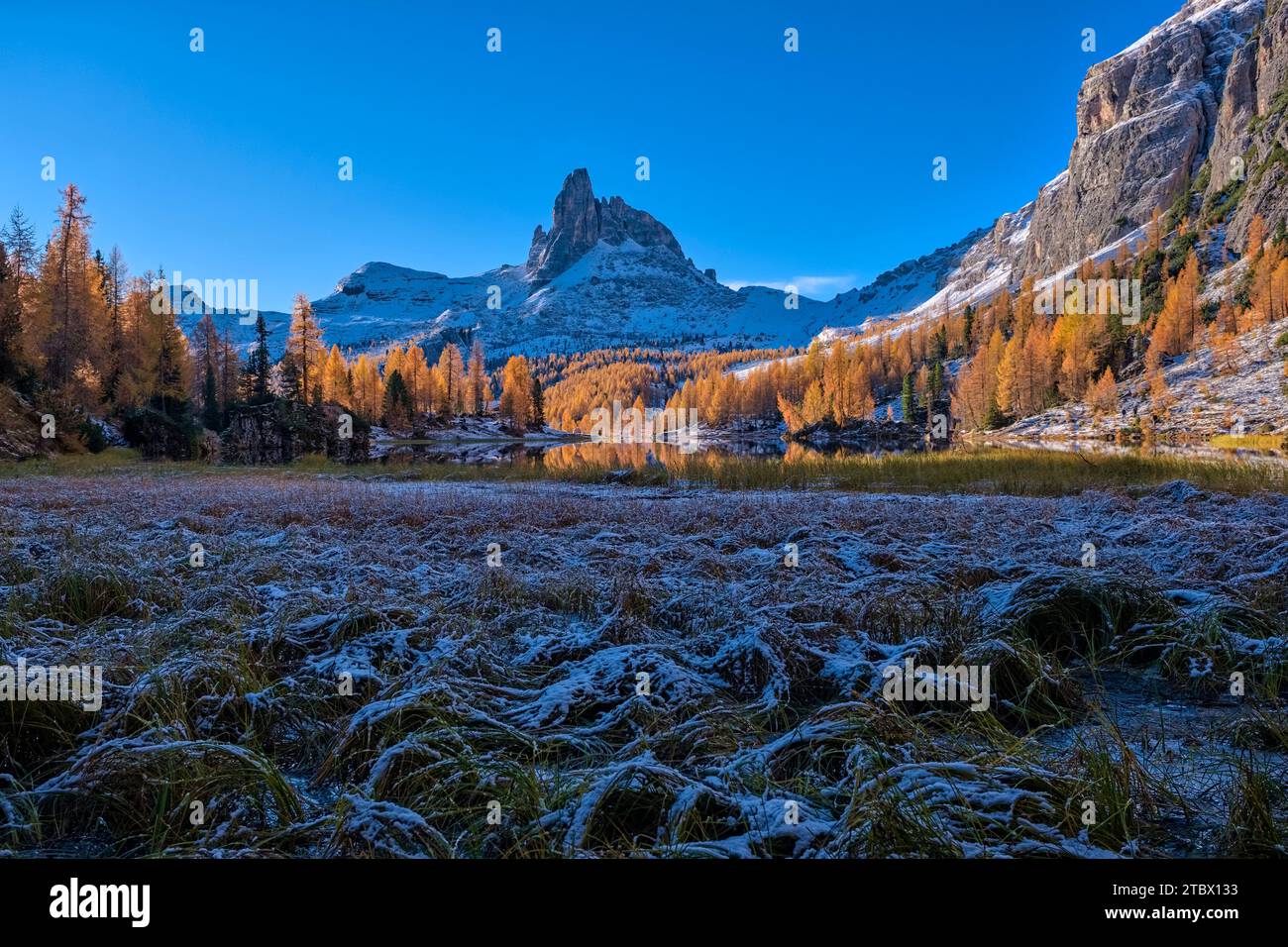 Autumn scenery on lake Lago Federa with yellow larches and the mountain ...