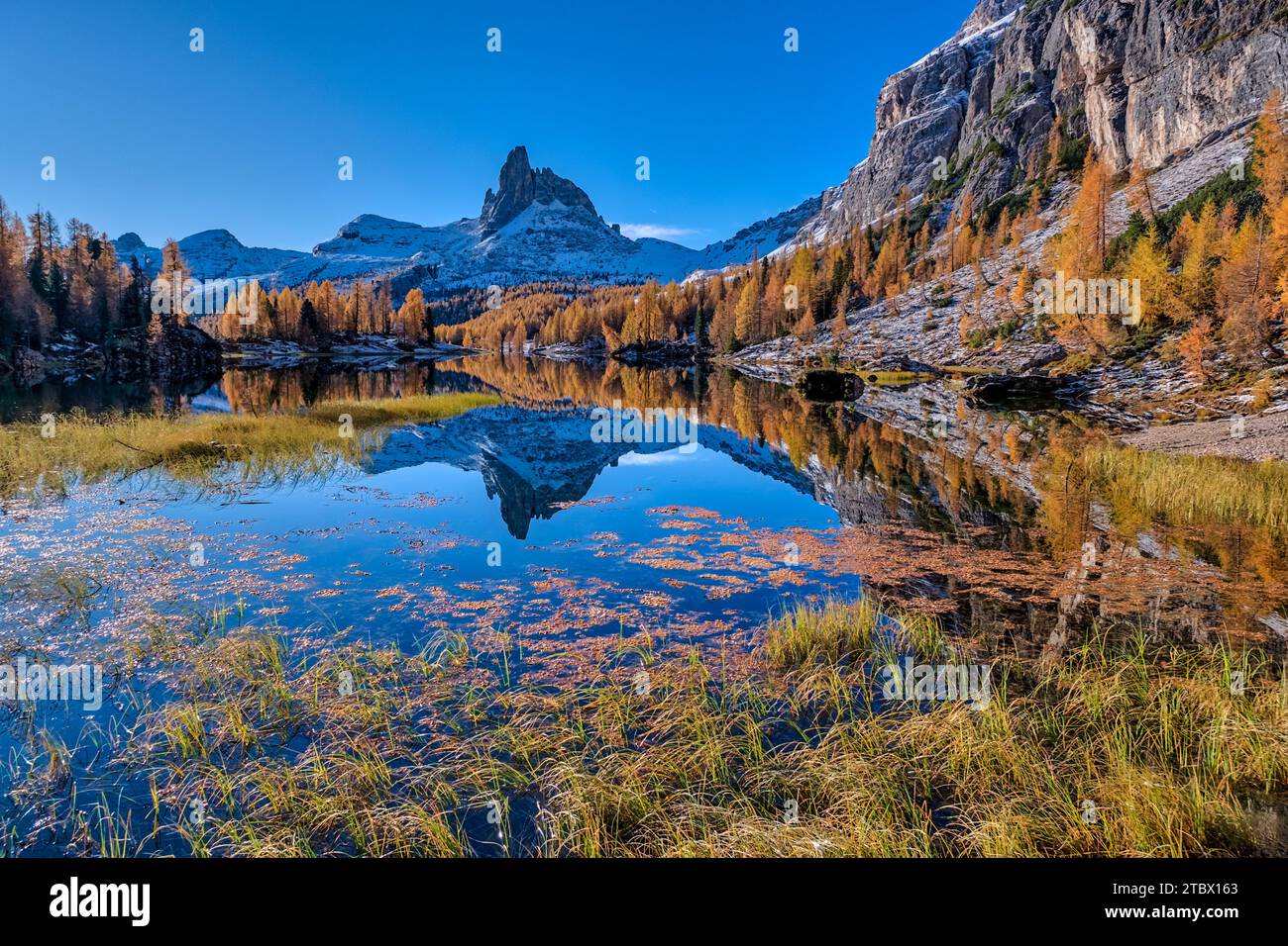 Becco di mezzodi in the federa lake hi-res stock photography and images ...