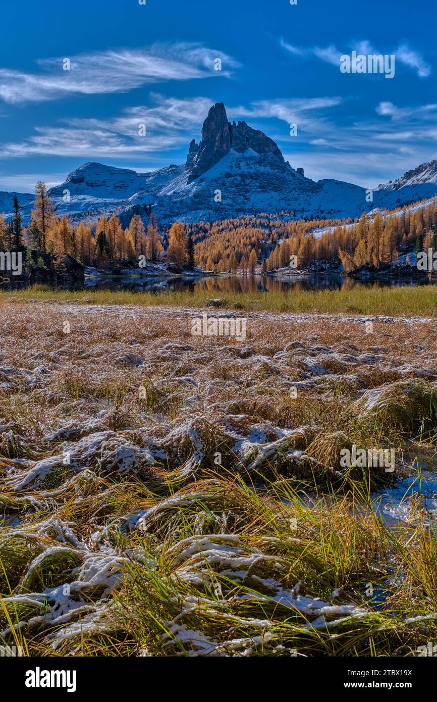 Autumn scenery on lake Lago Federa with yellow larches and the mountain ...