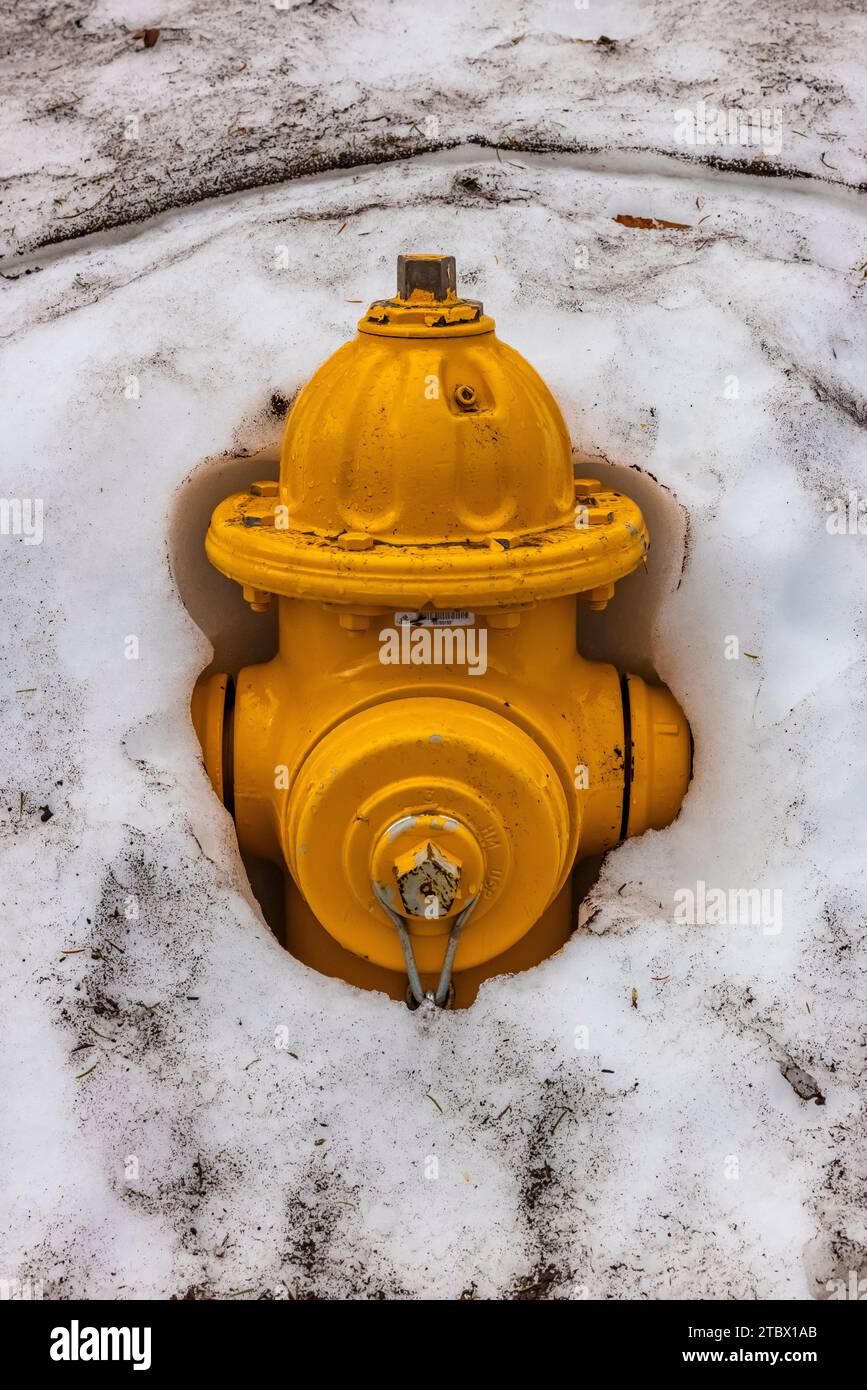 Fire hydrant in snow at Timberline Lodge on Mt. Hood, Mt. Hood National ...