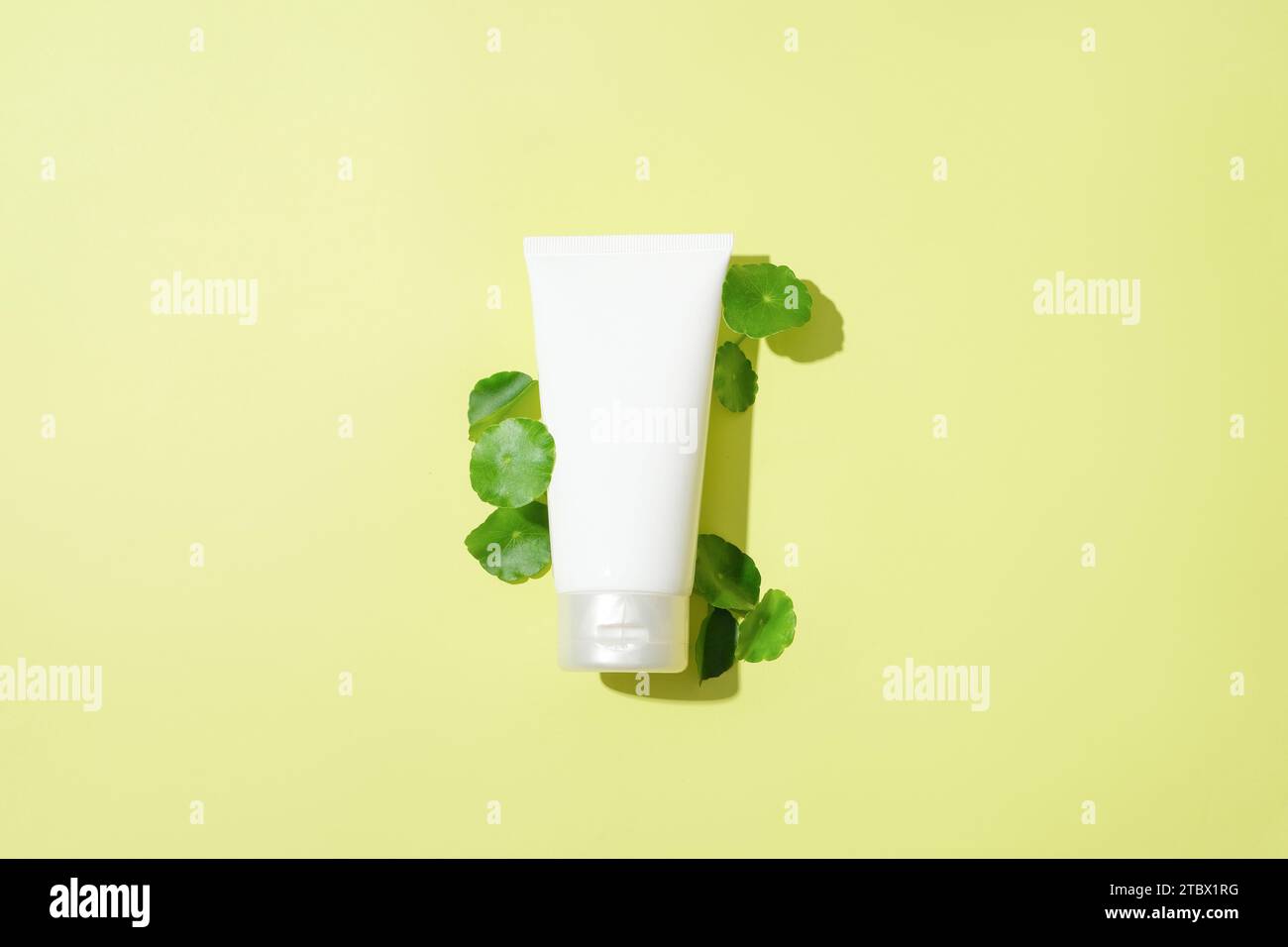 A cosmetic tube is dotted with the green color of pennywort leaves on a ... A cosmetic tube is dotted with the green color of pennywort leaves on a ...