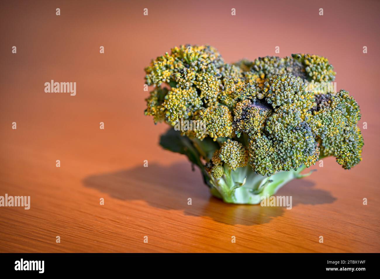 Broccoli flower hi-res stock photography and images - Alamy