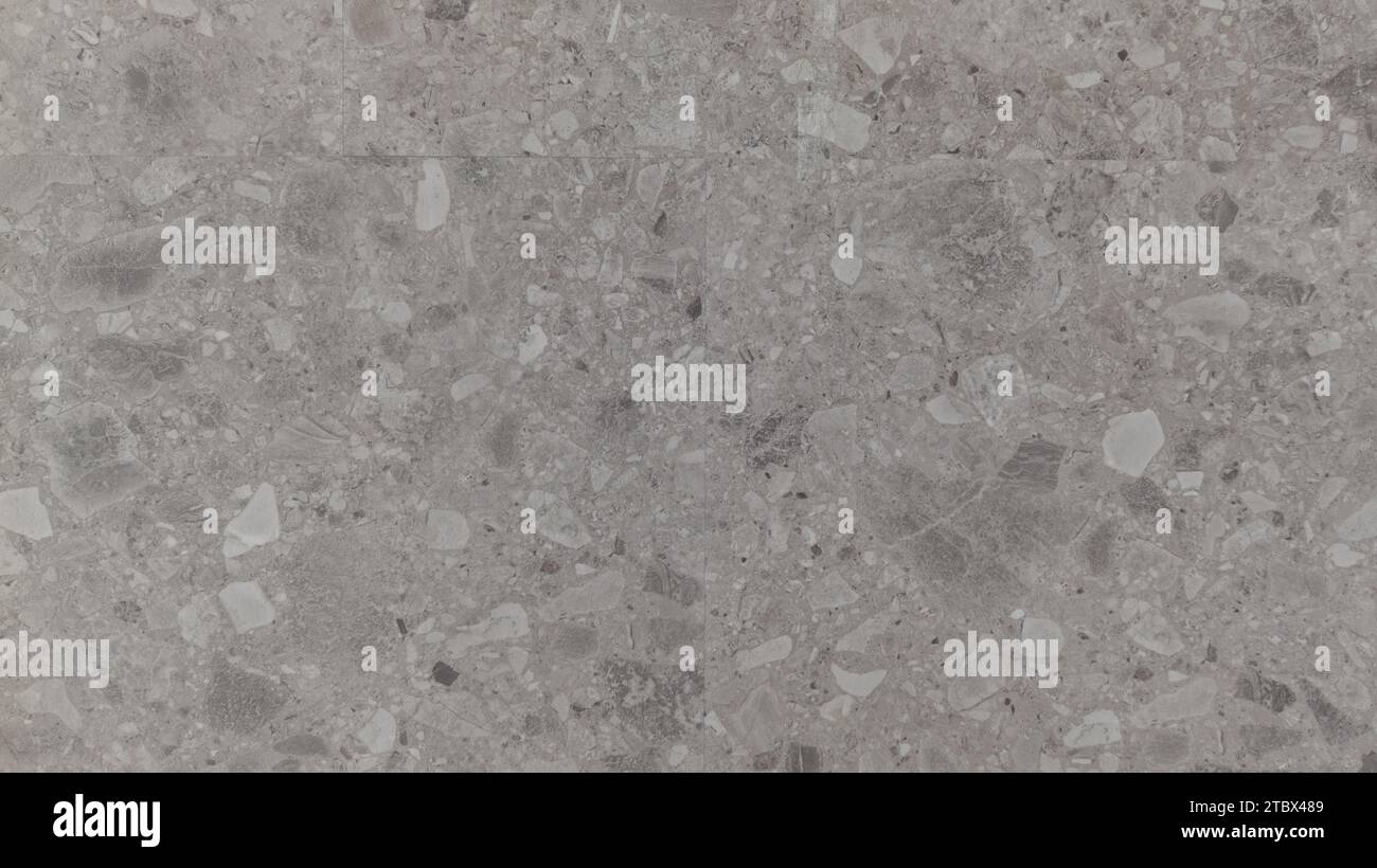 Grey Cement texture of floor Gray Concrete wall room surface in texture ...