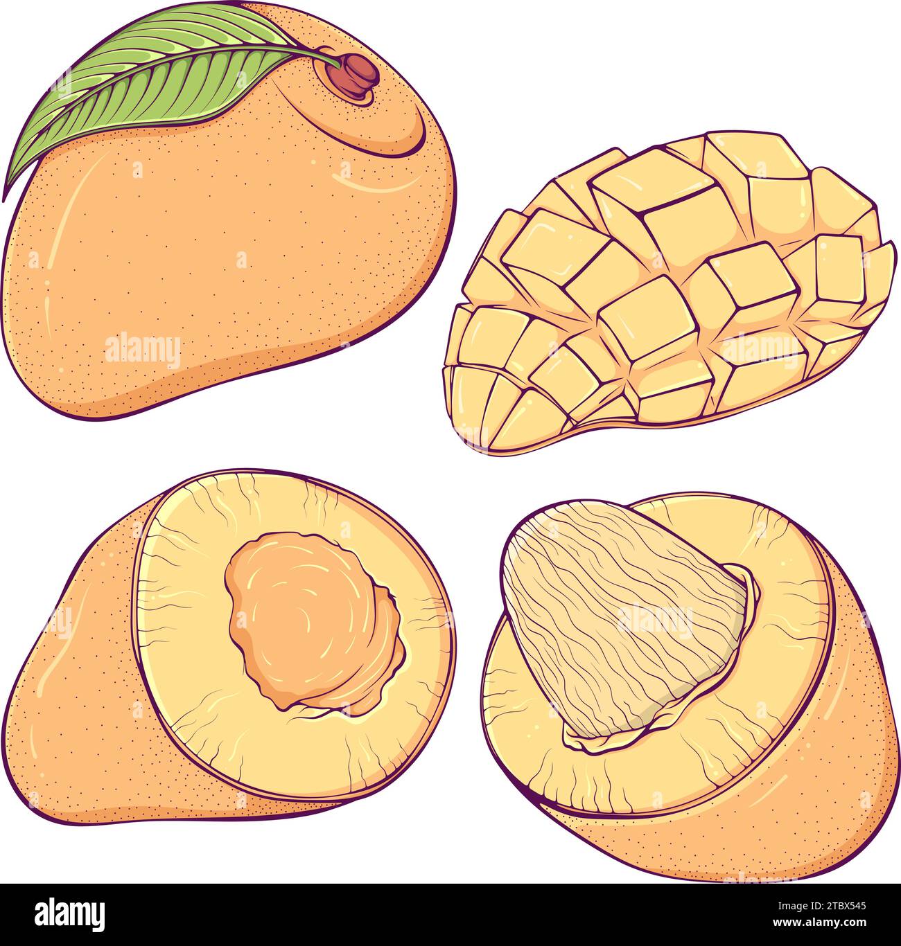 Set of colorful mango Stock Vector Image & Art - Alamy