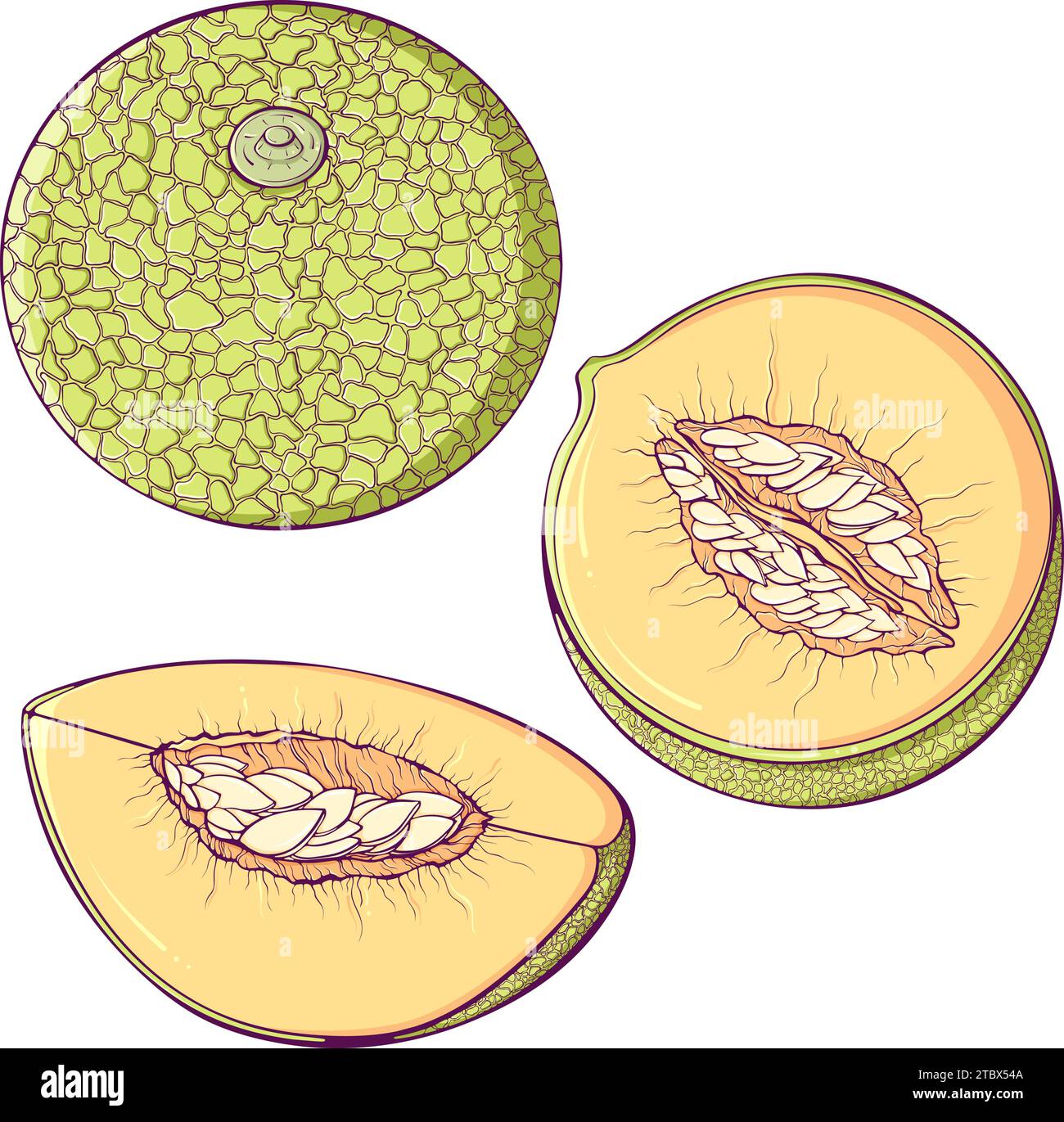 Melon yellow slice cartoon Cut Out Stock Images & Pictures - Alamy