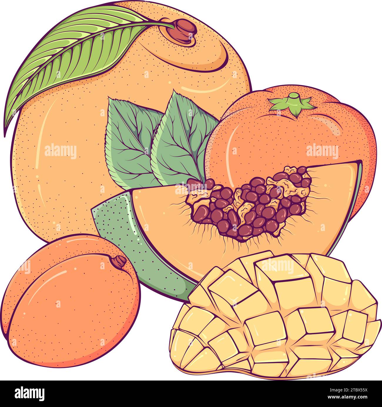 Still life fruits ripe Stock Vector Images - Alamy