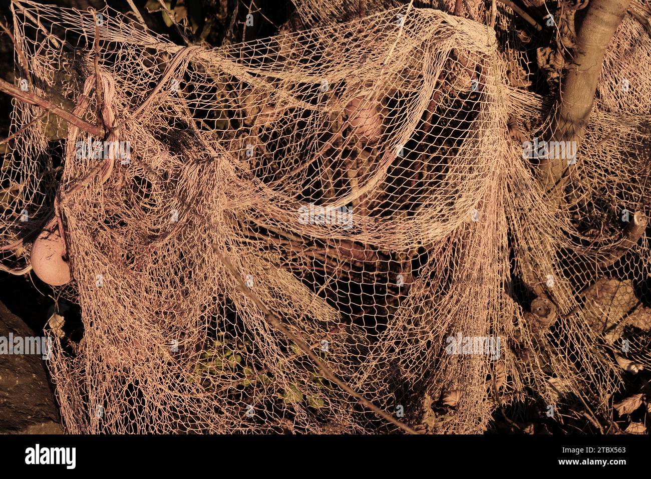 Close up view of background with old fishing net Stock Photo - Alamy