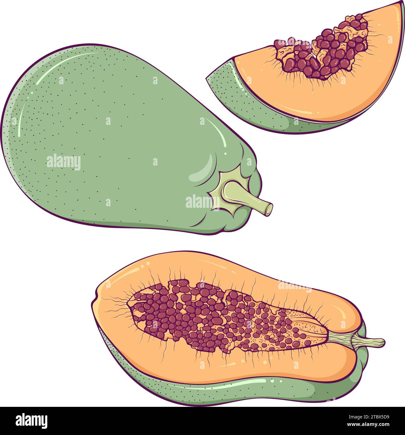 Papaya cartoon hi-res stock photography and images - Alamy