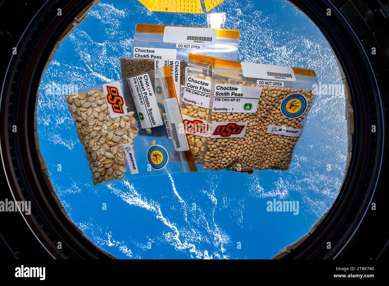 iss070e028323 (Nov. 21, 2023) --- Five varieties of seeds provided by ...