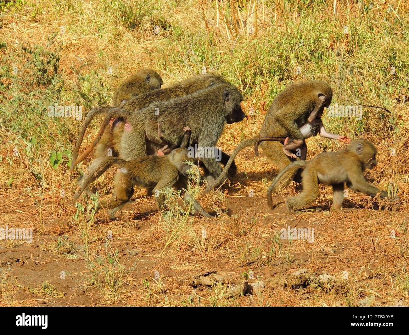 Lake myanara park hi-res stock photography and images - Alamy