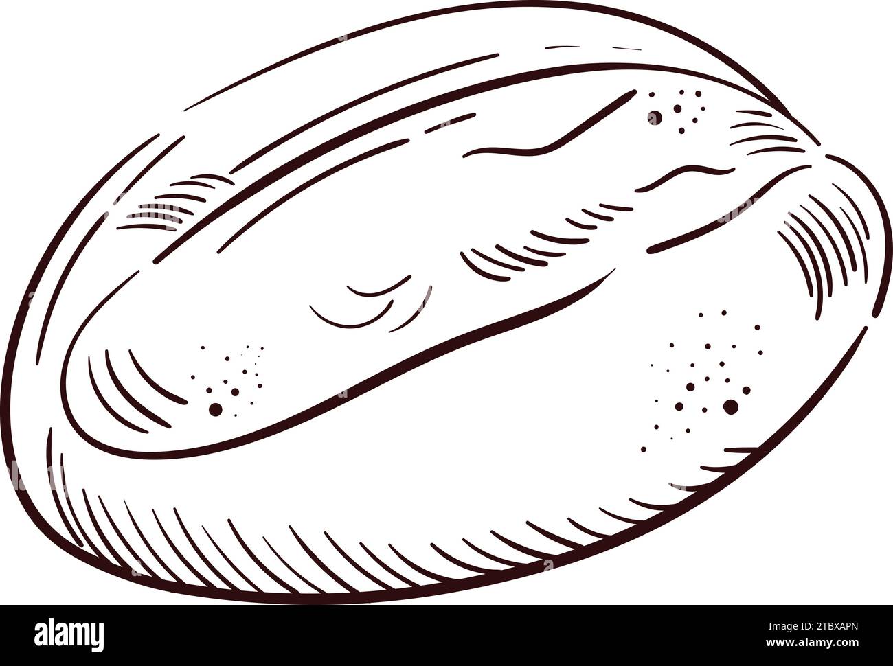 Vintage hand drawn sketch fresh style bakery set. Bread, cream roll ...