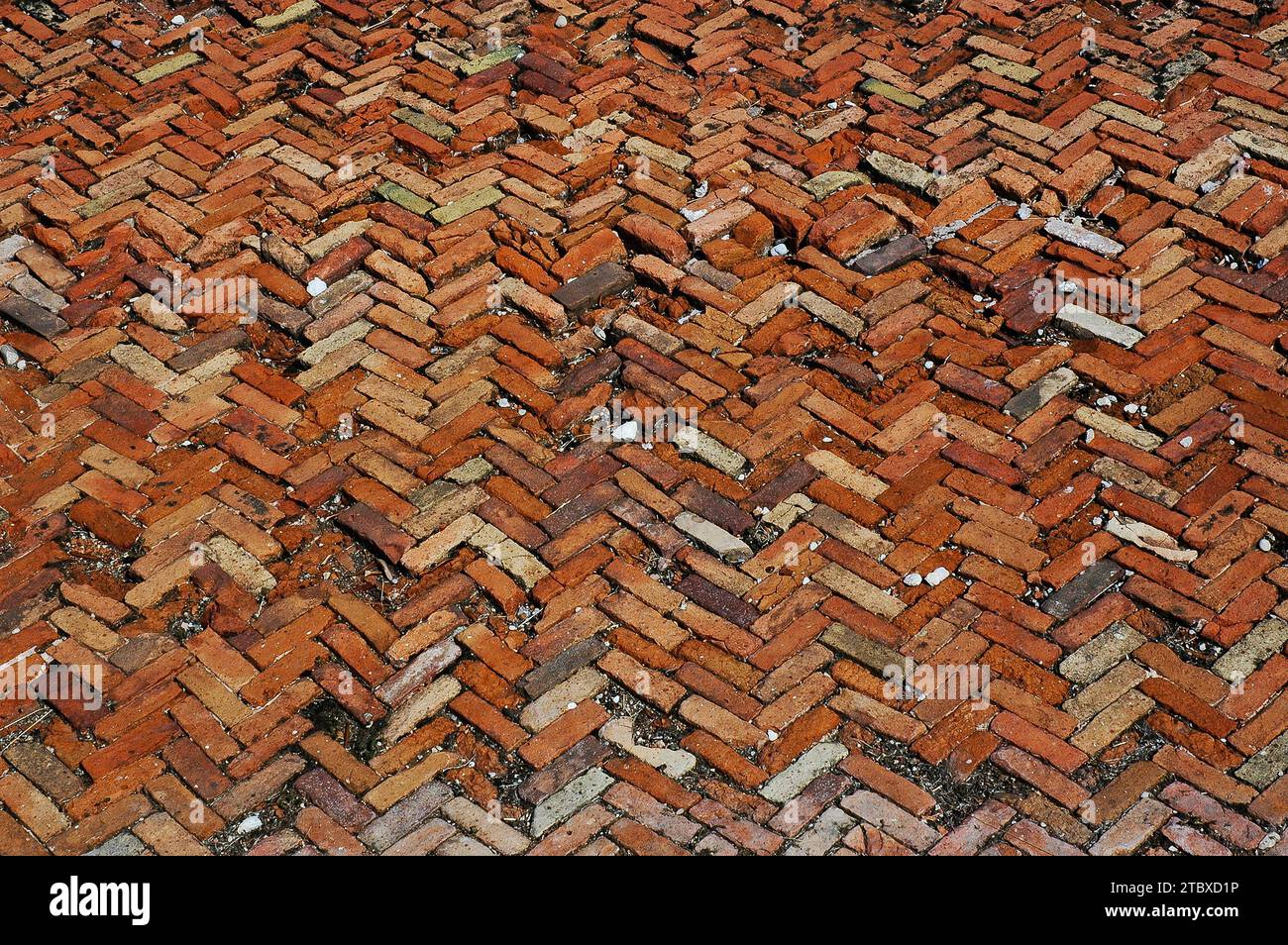 Area of herringbone brick paving amid the ruins of the Grotte di ...