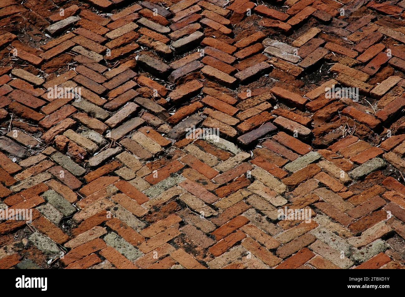 Roman herringbone brick paving amid the ruins of the Grotte di Catullo ...