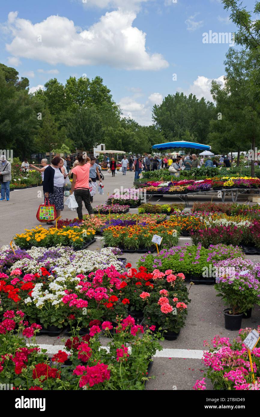 Flower Market in the Mosson District. Montpellier, Occitanie, France ...