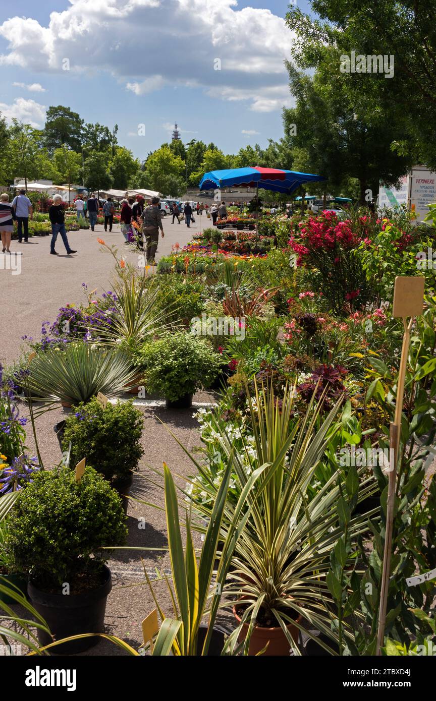 Flower Market in the Mosson District. Montpellier, Occitanie, France ...