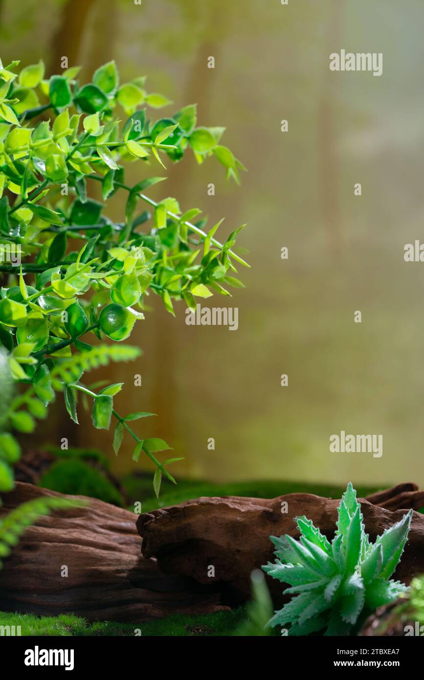 Natural wallpaper for displaying natural products, high quality images ...