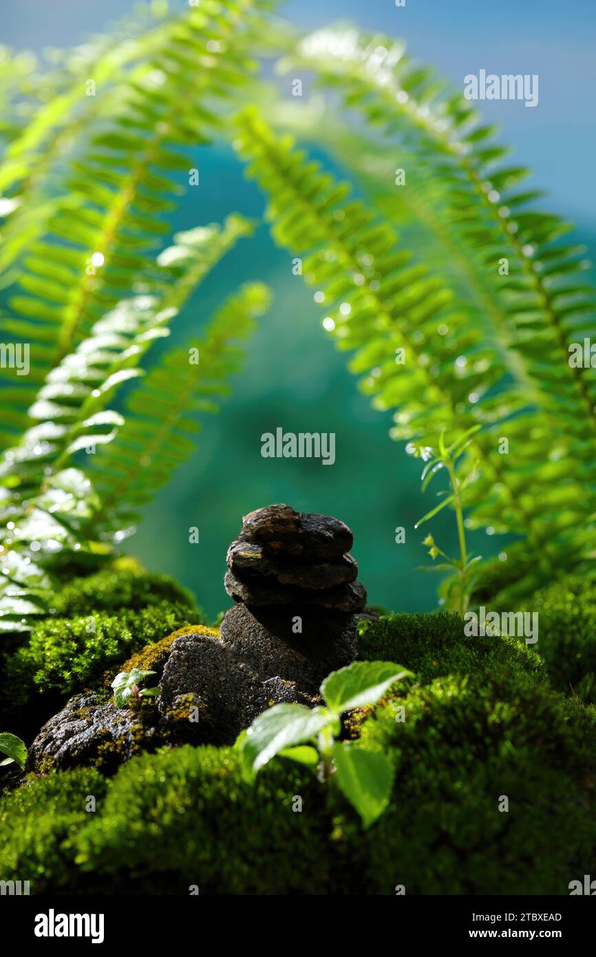 Natural wallpaper for displaying natural products, high quality images ...