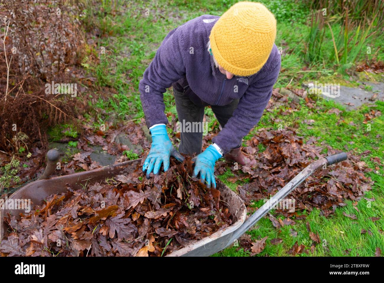 Mature women exercise hat gloves hi-res stock photography and images ...