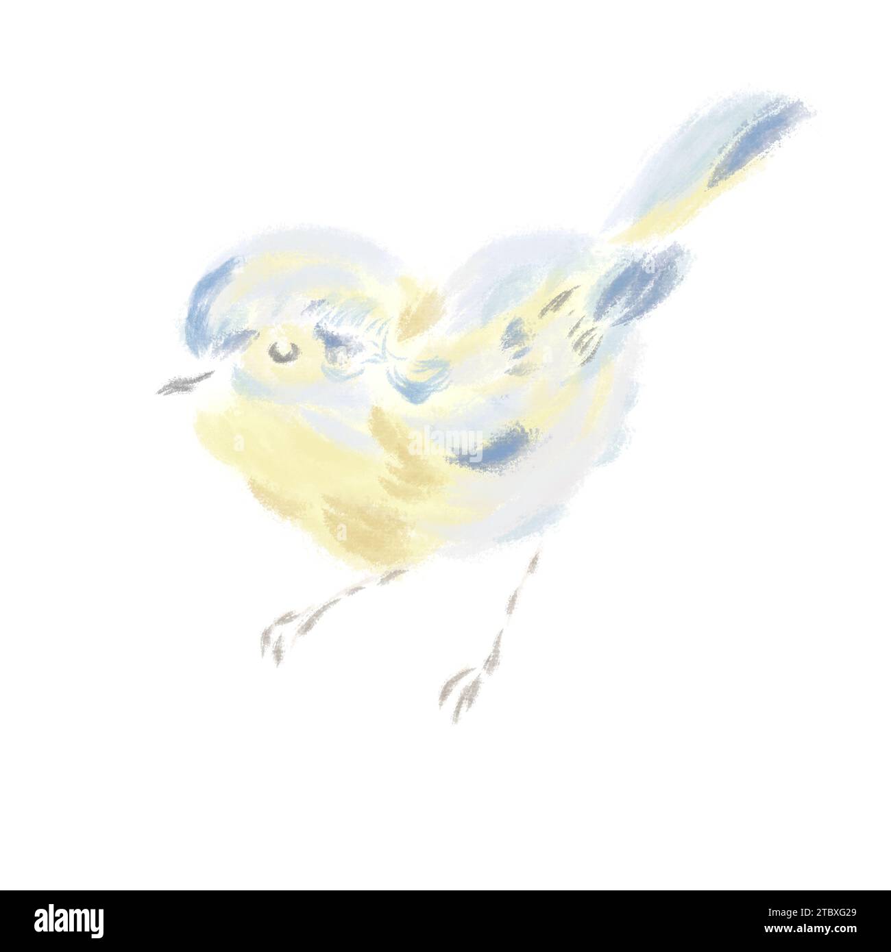 Simple sketch of a bird in minimal colors. Color illustration for ...