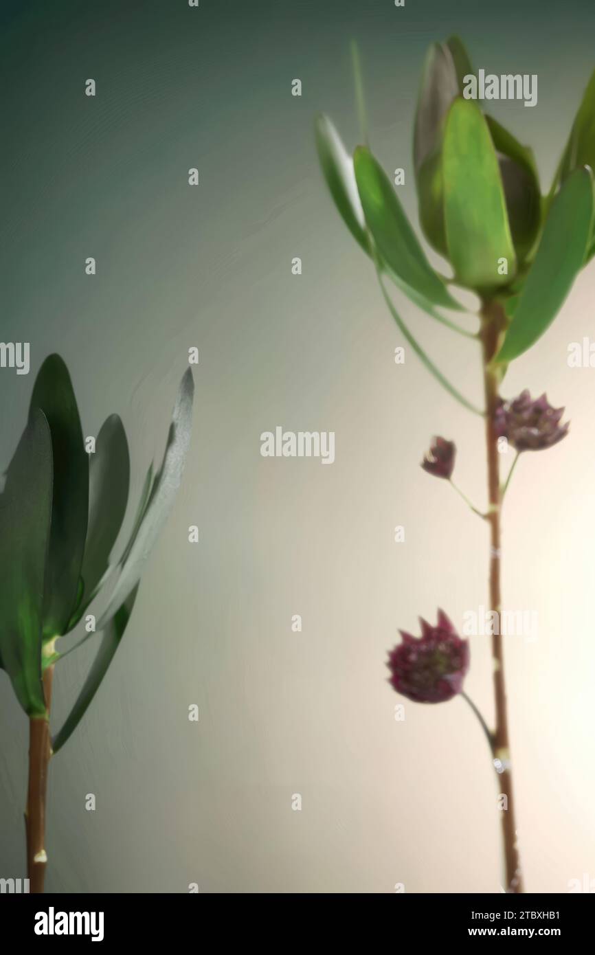 Product advertising backdrops, E-commerce product backdrop ...