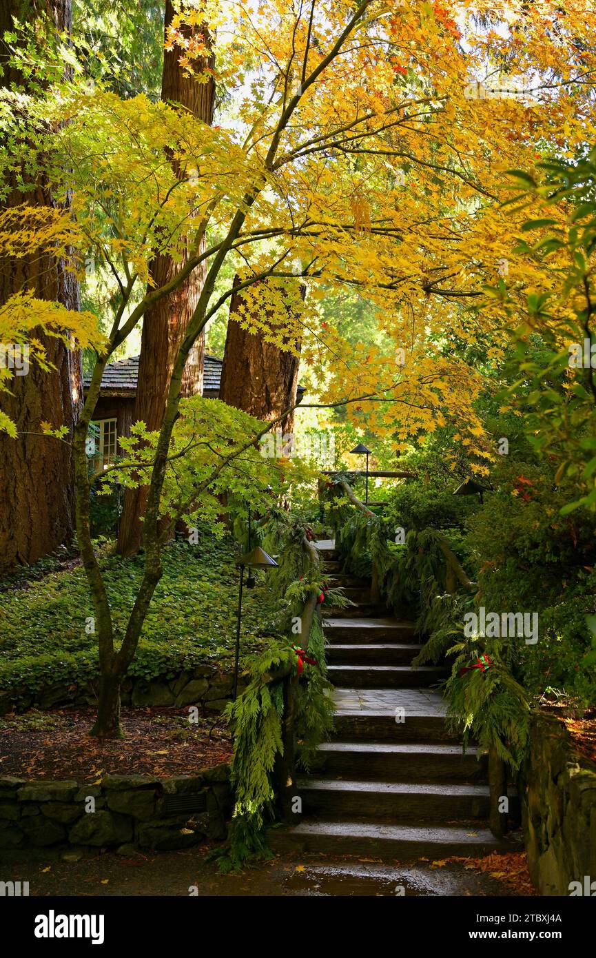 An outdoor garden scene in Victoria, British Columbia, Canada featuring ...