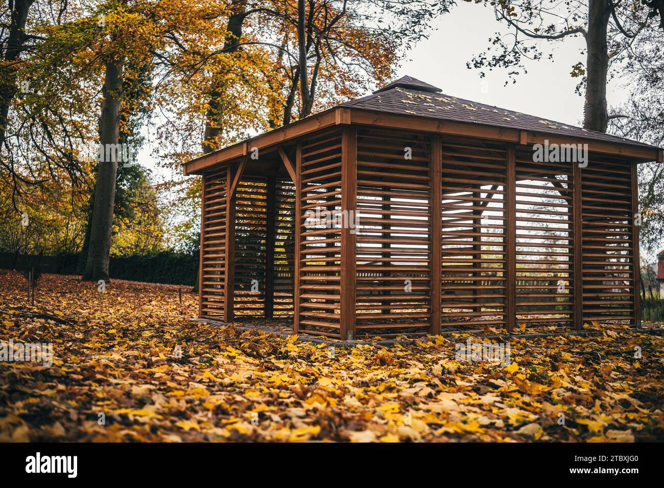 Wooden Arbor Amidst Autumn Leaves Stock Photo - Alamy Wooden Arbor Amidst Autumn Leaves Stock Photo - Alamy
