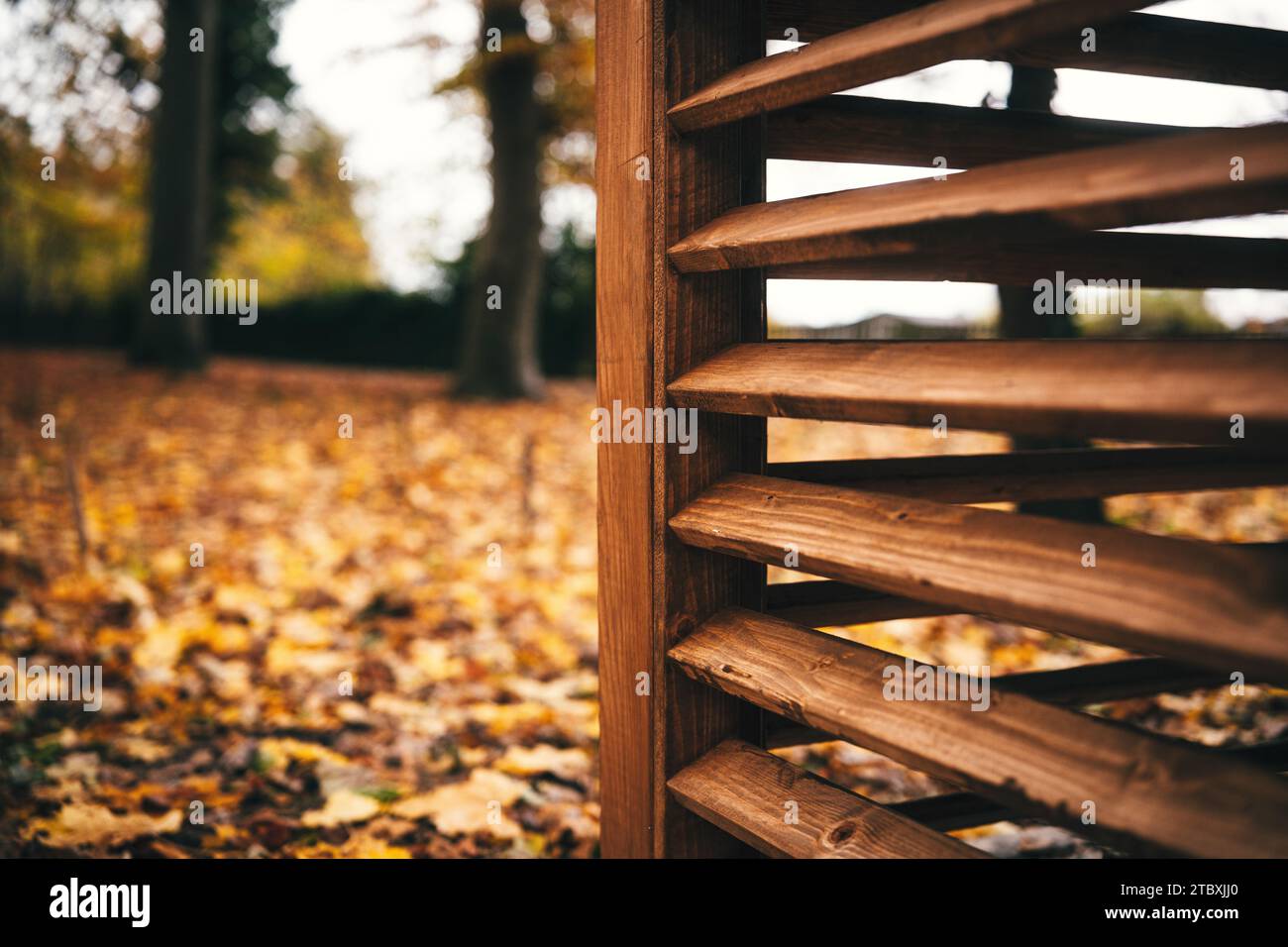 Wooden Arbor Amidst Autumn Leaves Stock Photo - Alamy Wooden Arbor Amidst Autumn Leaves Stock Photo - Alamy