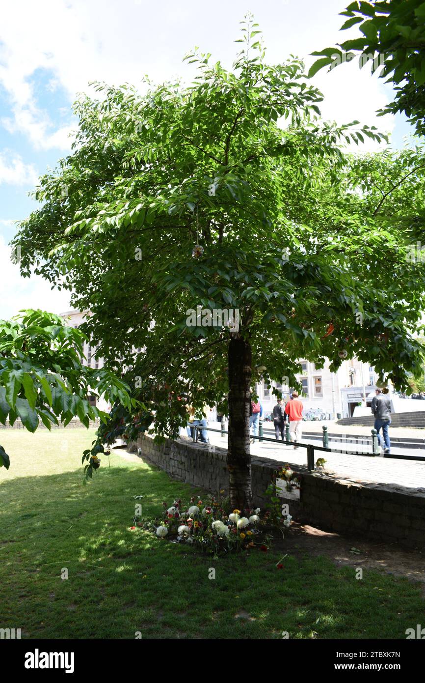 Memorial flowers and tree for those who died homeless on the streets in ...