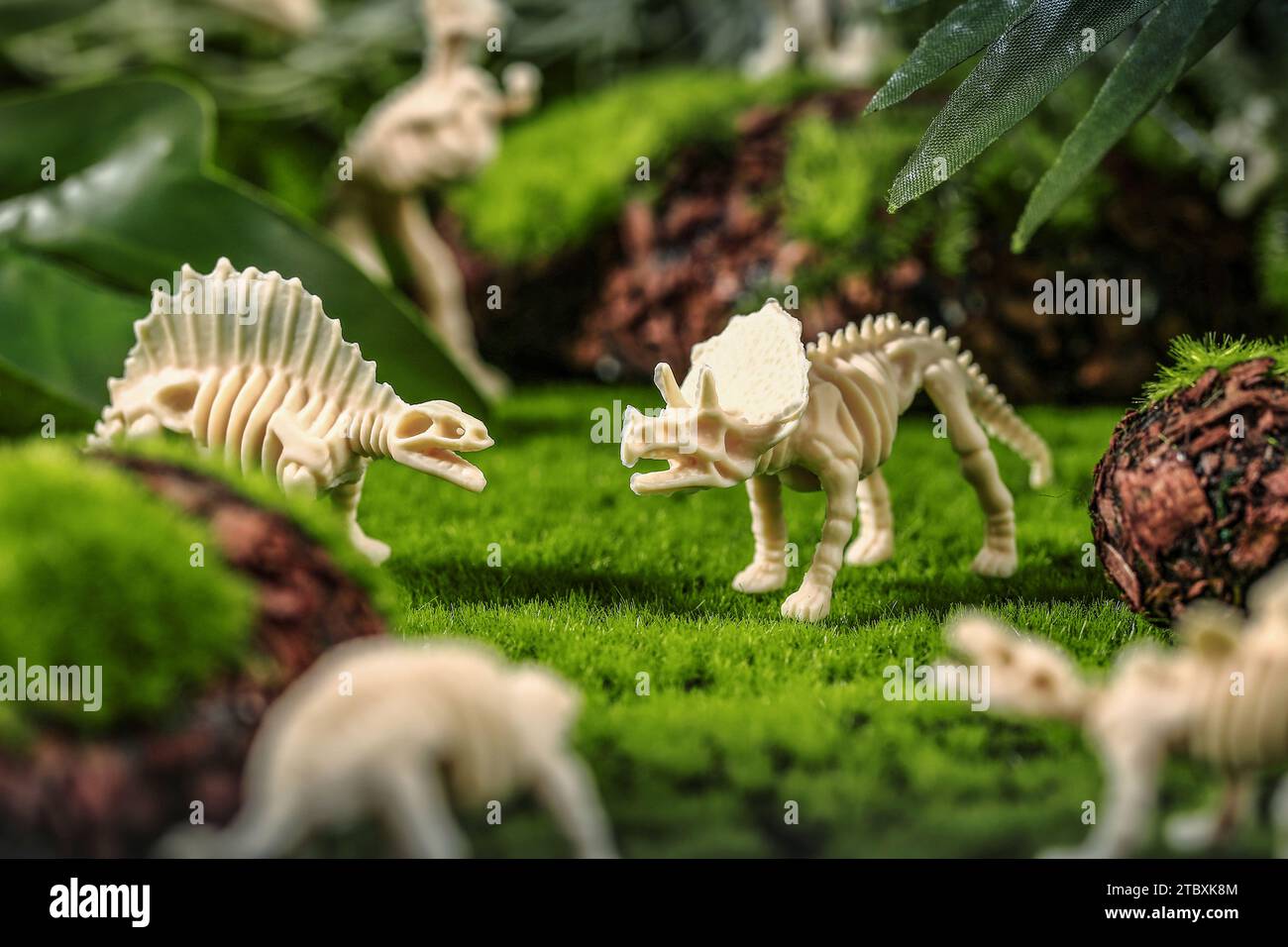 Cute and adorable scene for children, product children backdrop ...