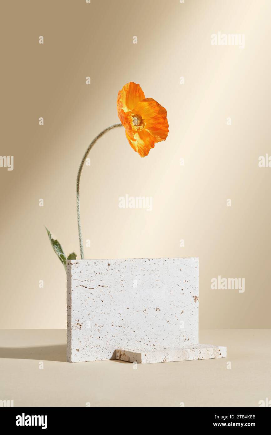 Photo backdrop for merchandise, product image backdrops, product ...