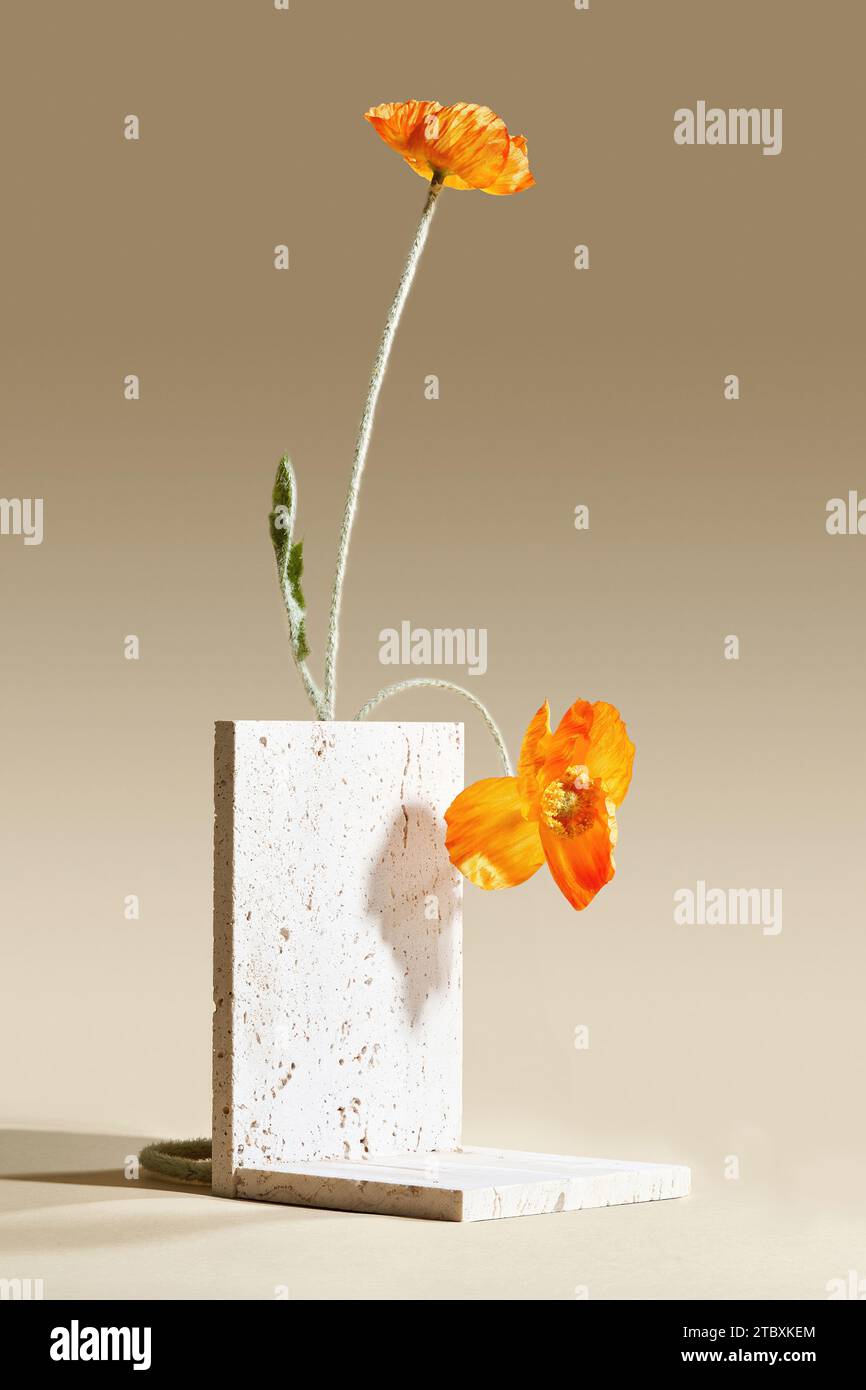 Photo backdrop for merchandise, product image backdrops, product ...