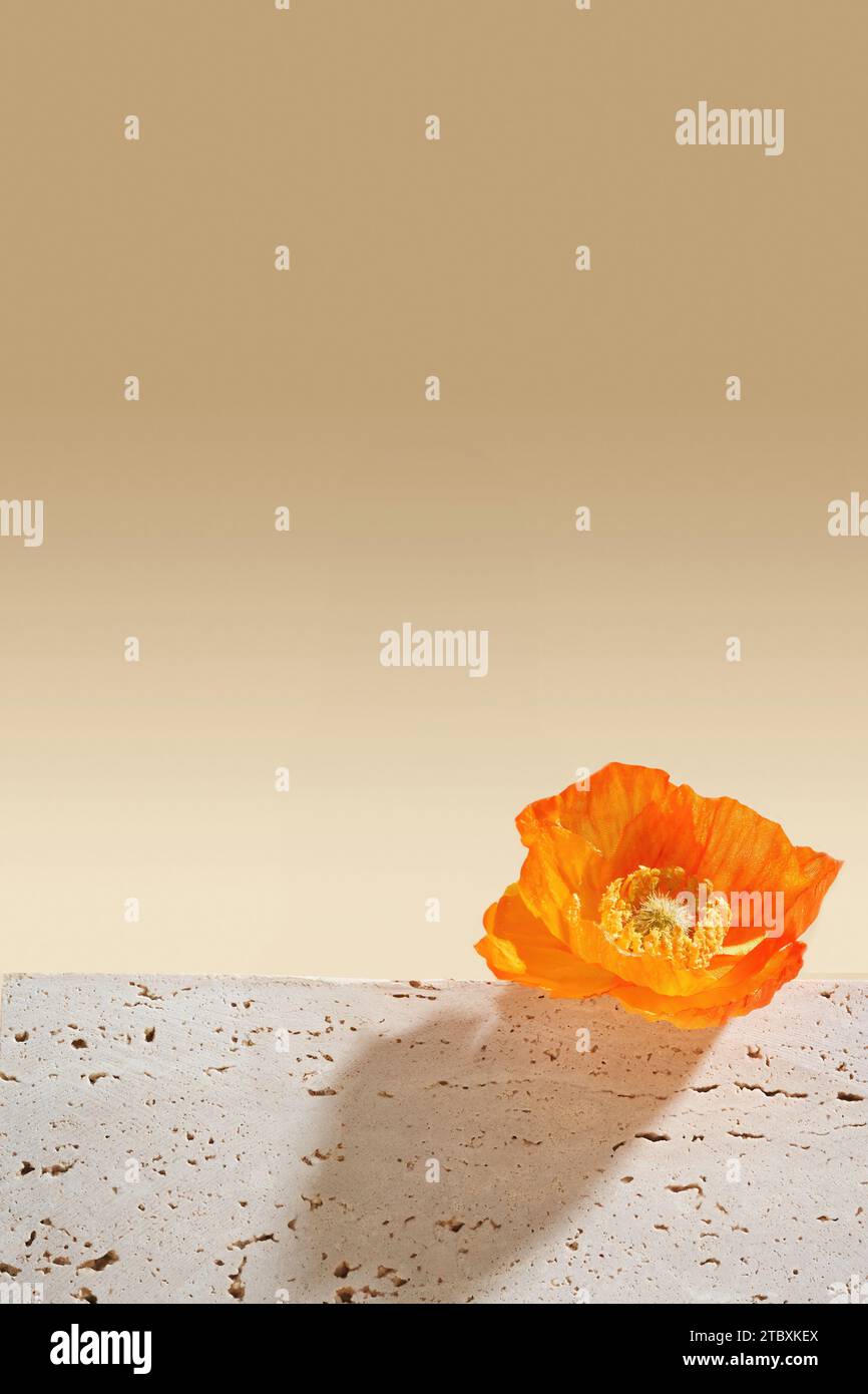 Photo backdrop for merchandise, product image backdrops, product ...