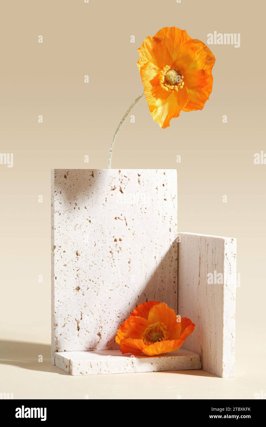 Photo backdrop for merchandise, product image backdrops, product ...