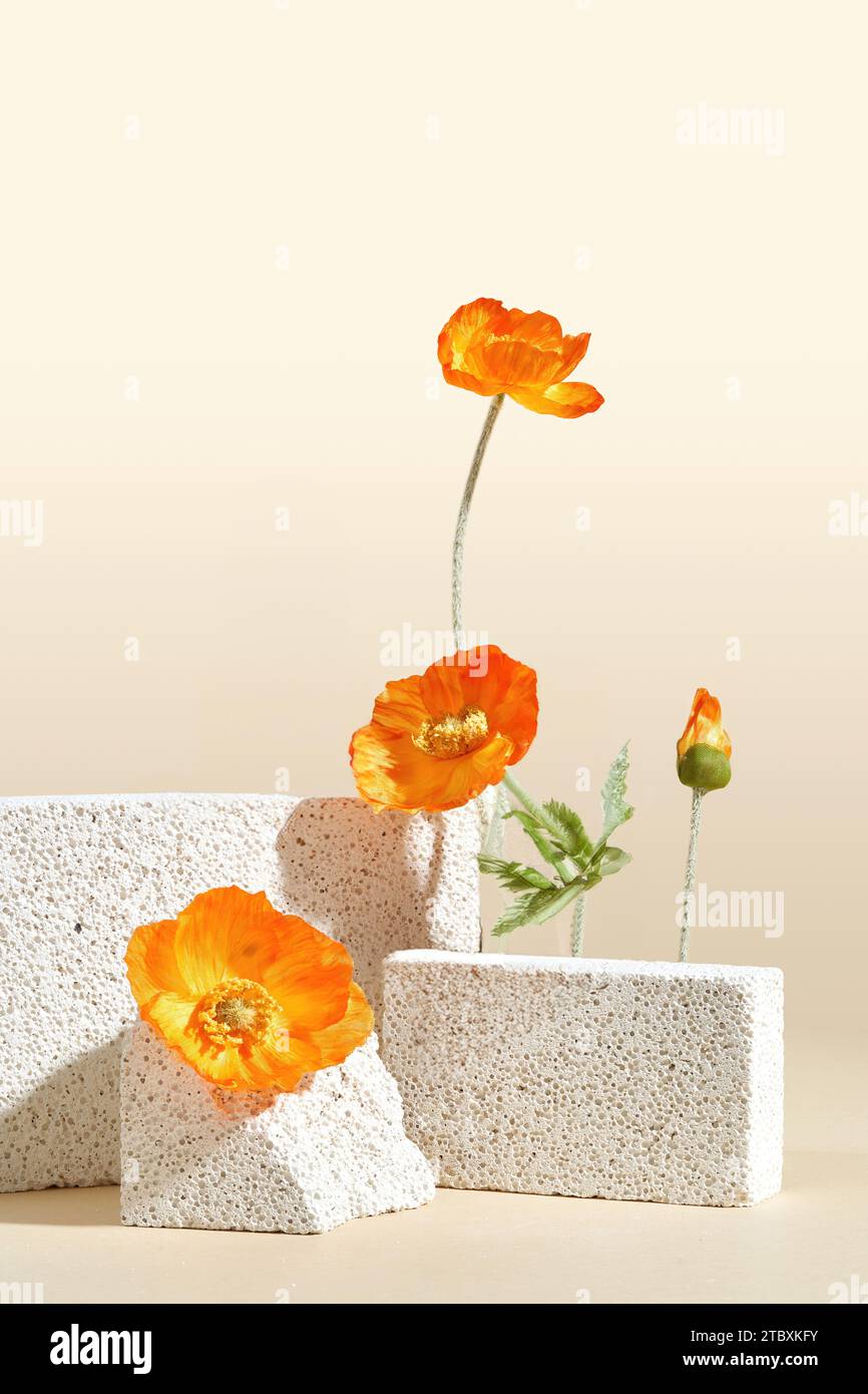 Photo backdrop for merchandise, product image backdrops, product ...