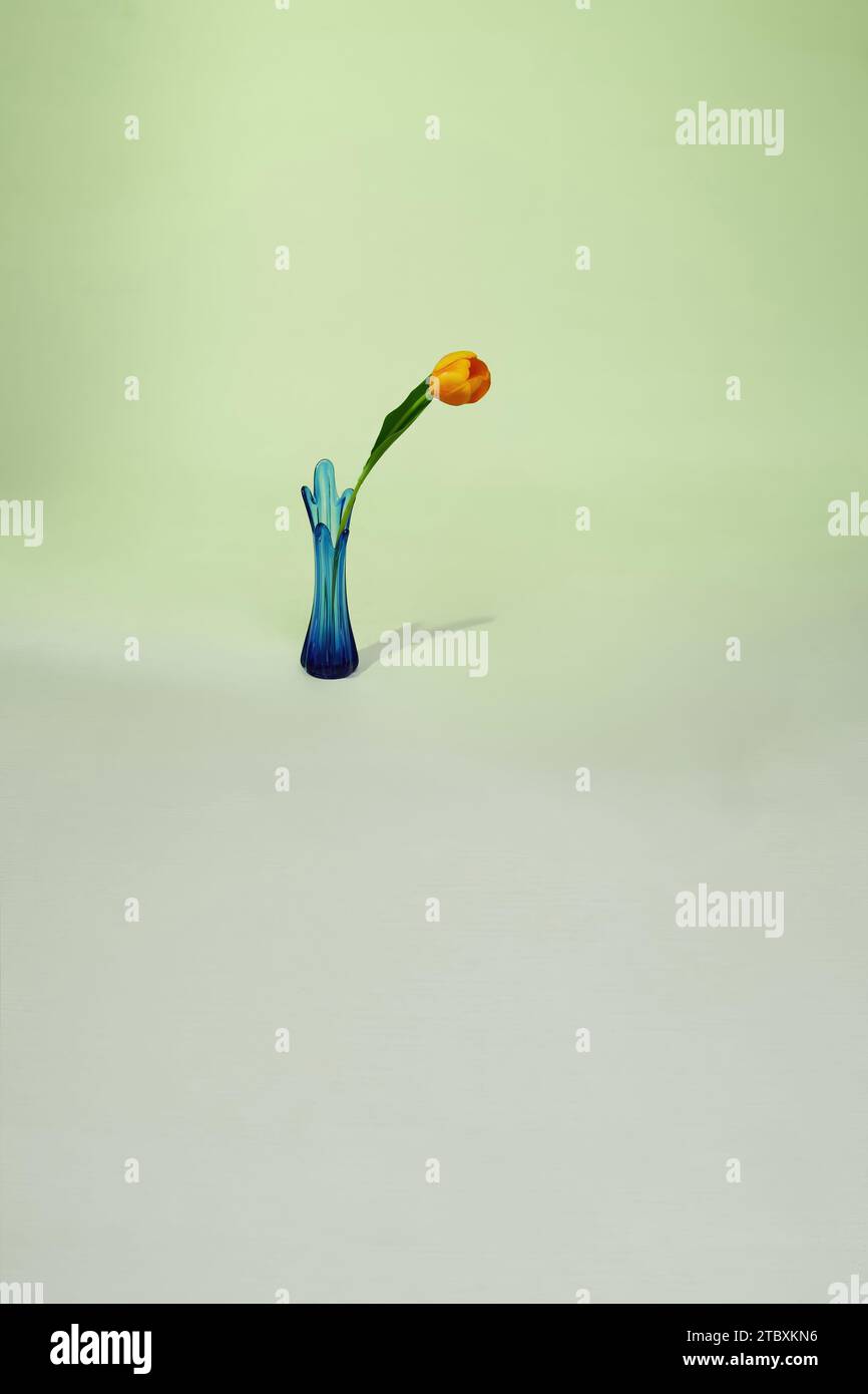 Photo backdrop for merchandise, product image backdrops, product ...