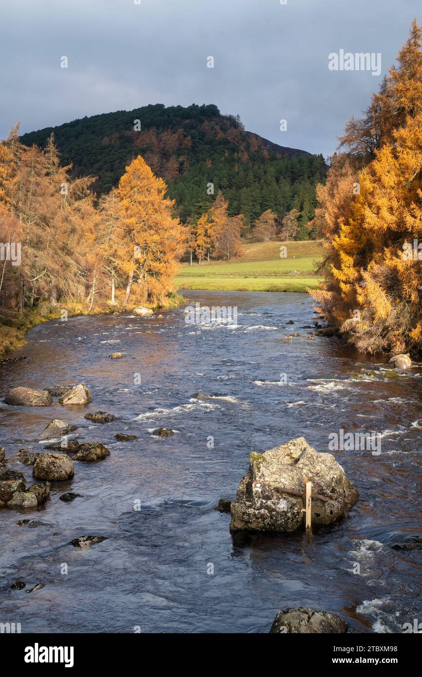 The River Dee in autumn. Aberdeenshire, Scotland Stock Photo - Alamy