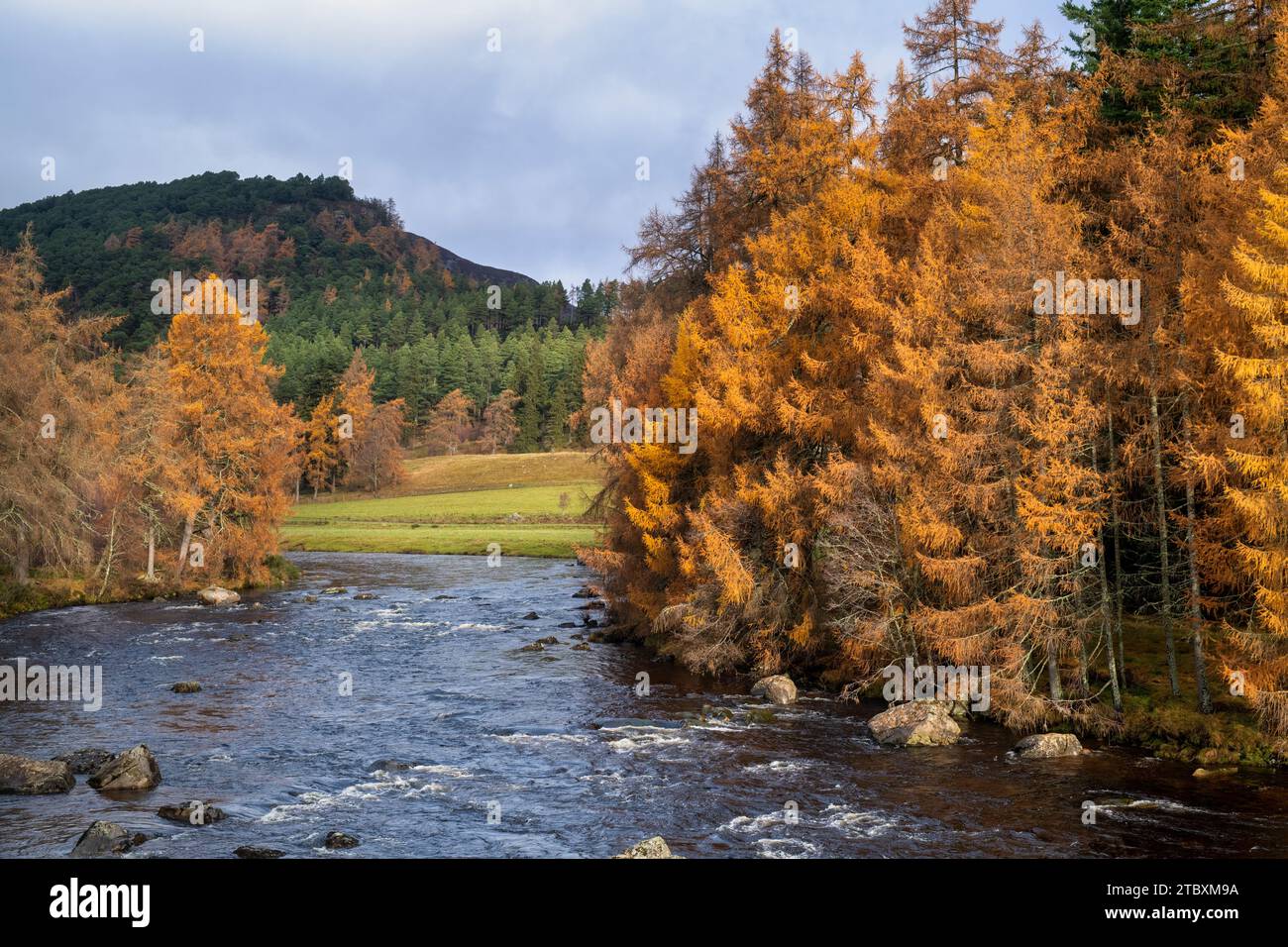 The River Dee in autumn. Aberdeenshire, Scotland Stock Photo - Alamy