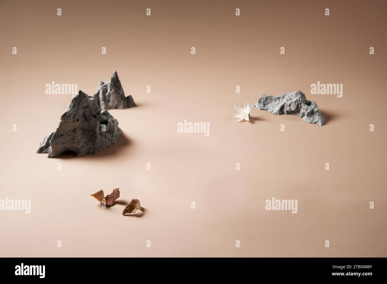 Photo backdrop for merchandise, product image backdrops, product ...