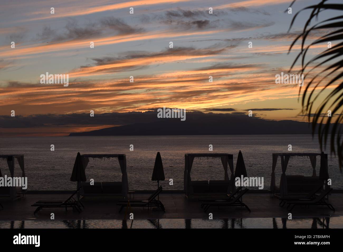 Tui canaries hi-res stock photography and images - Alamy