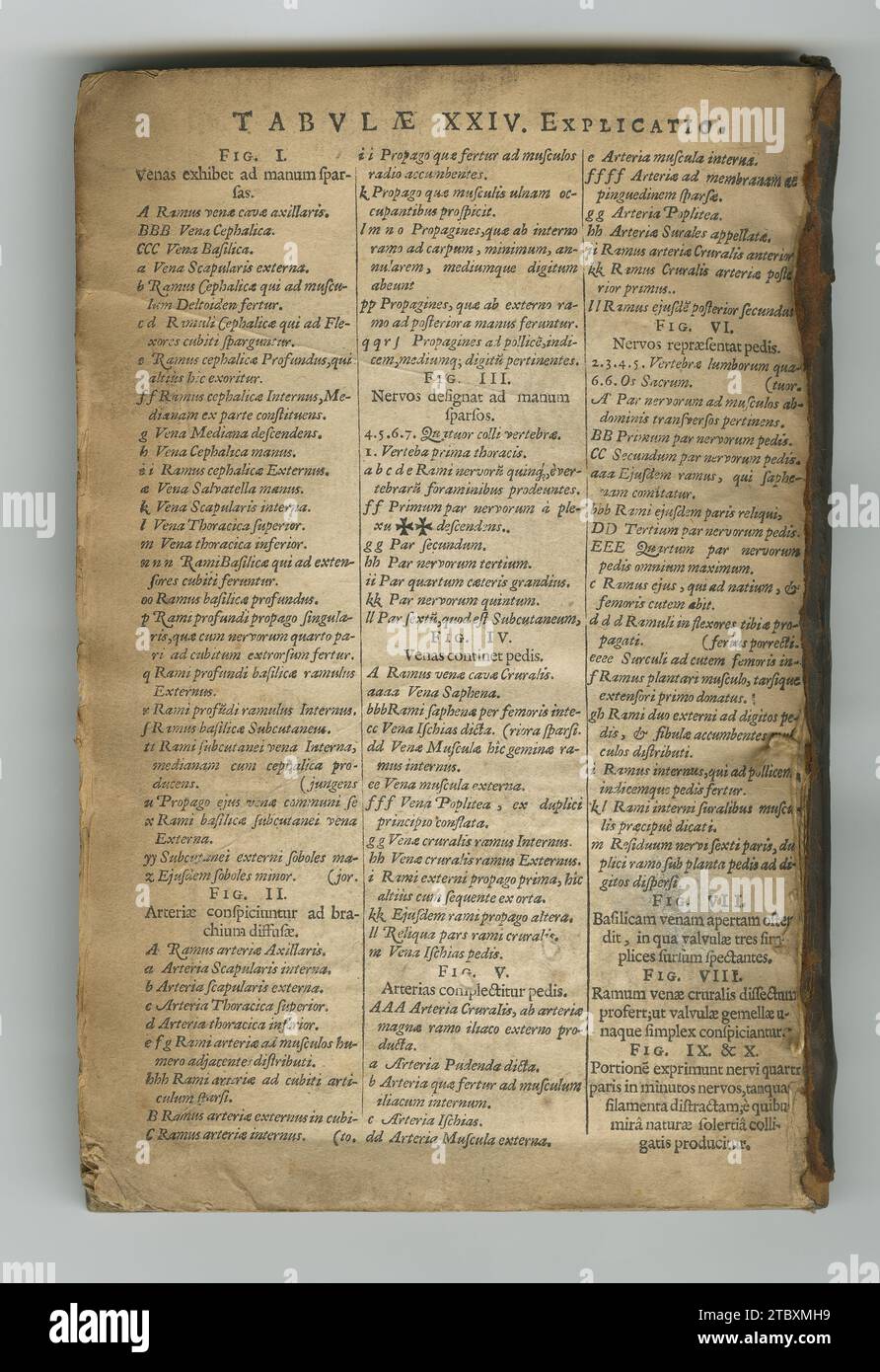 Antique medical book, paper or research of medicine study, historical ...