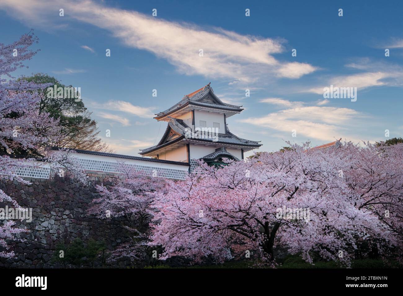 Cherry blossom kanazawa castle hi-res stock photography and images - Alamy
