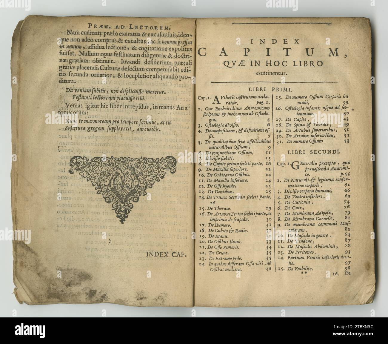 Antique medical book, knowledge or ancient info, content page or index ...