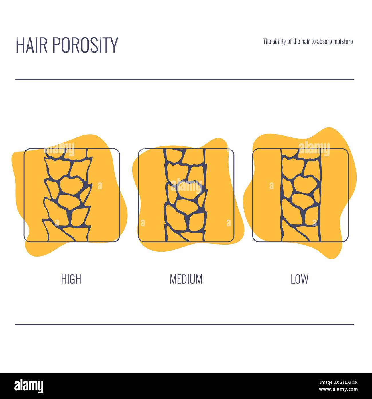 Porosity test hi-res stock photography and images - Alamy