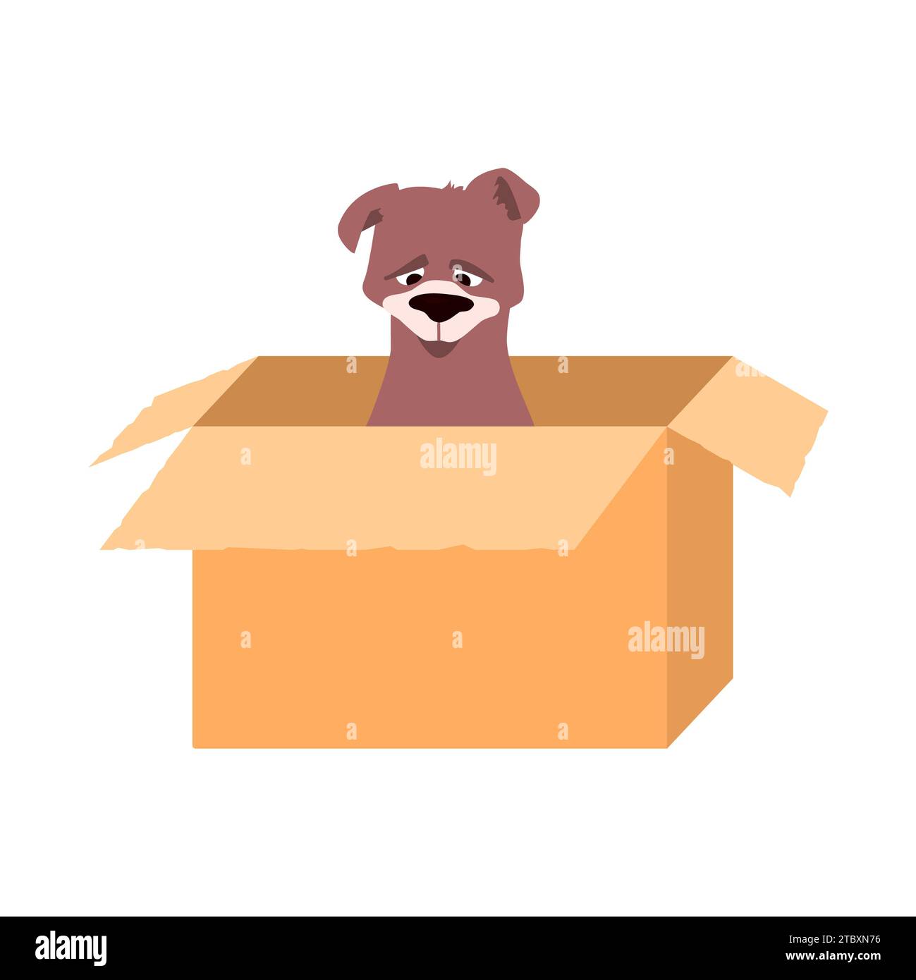 Shelter homeless homeless Cut Out Stock Images & Pictures - Alamy