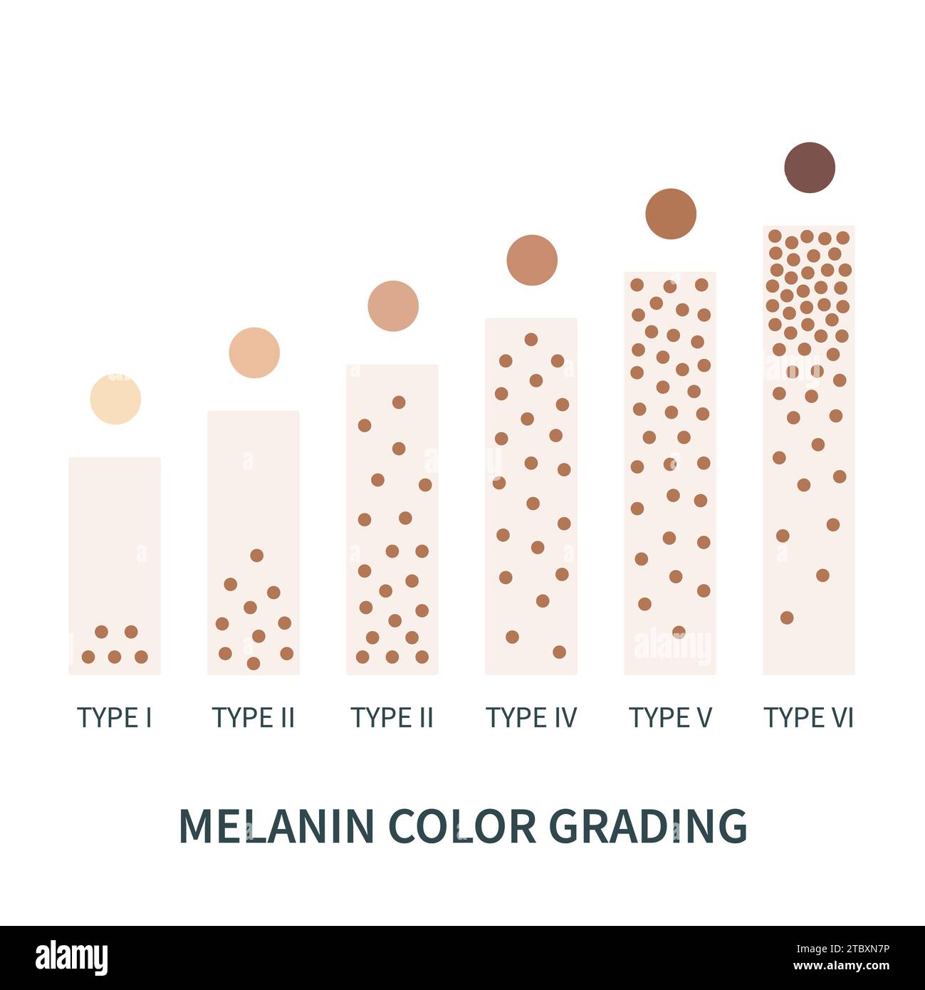Skin tone scale hi-res stock photography and images - Alamy