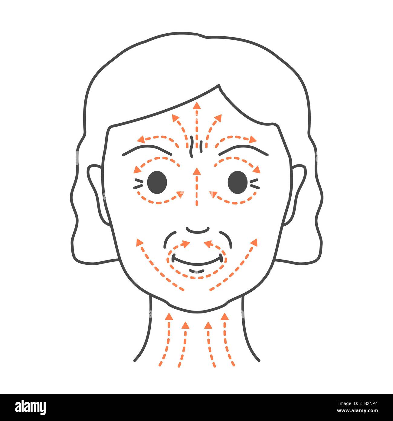 Face massage, conceptual illustration Stock Photo - Alamy Face massage, conceptual illustration Stock Photo - Alamy