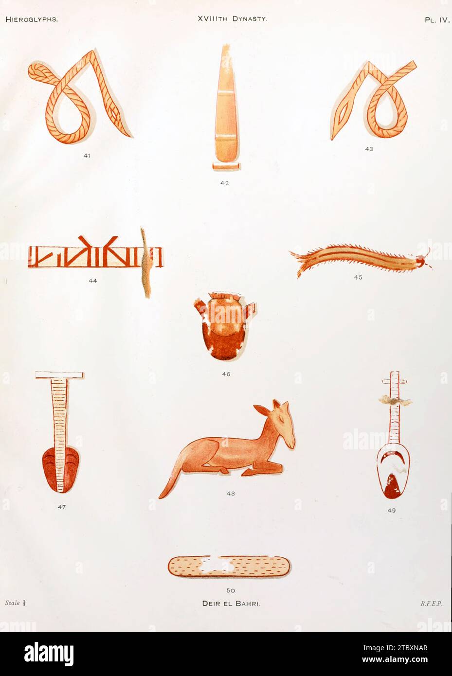 Hieroglyphs from Deir EL Bahri, illustration Stock Photo - Alamy